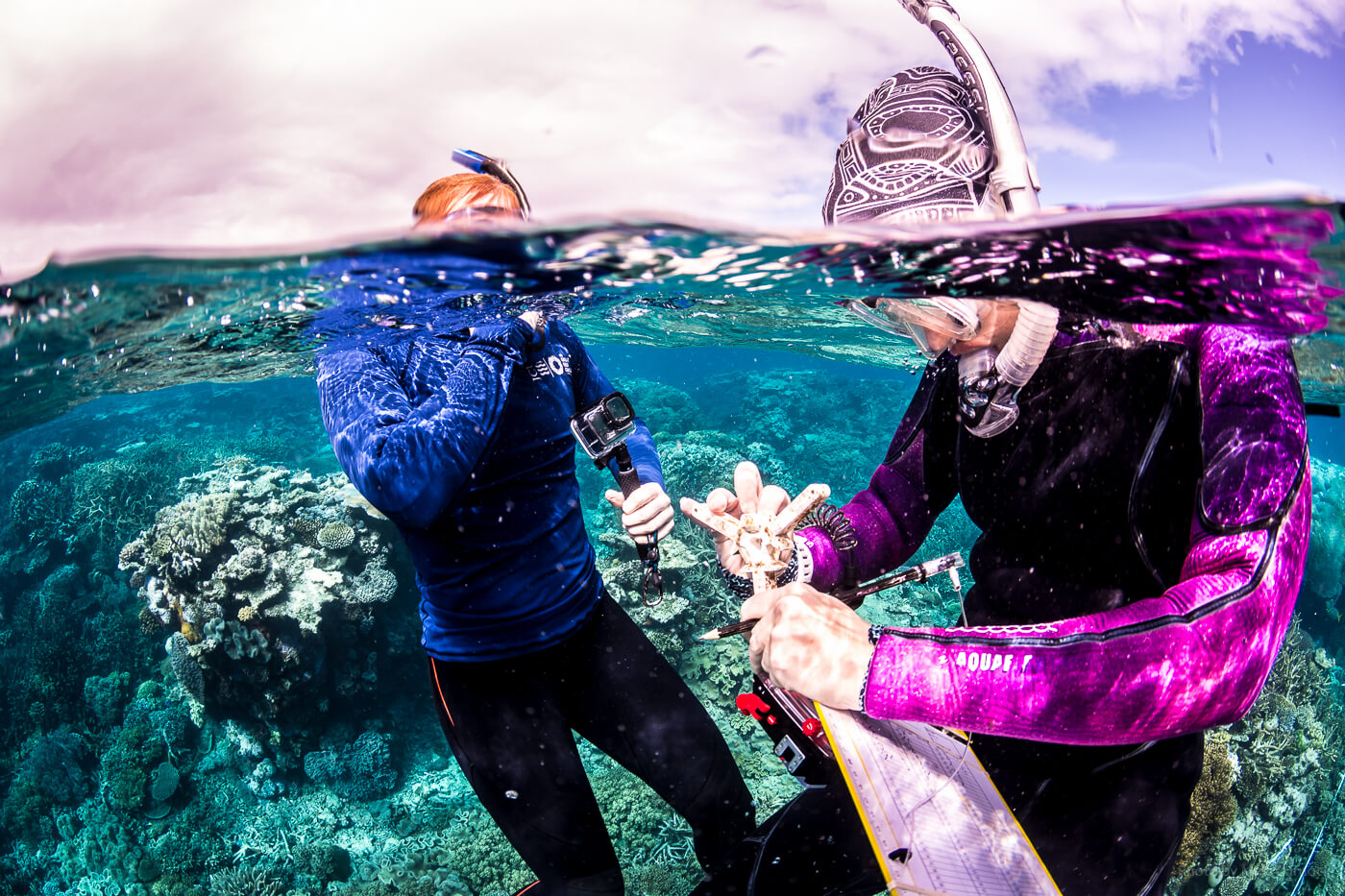 Working Together to Restore Coral Reefs - Sharing the important and inspiring stories that are ...